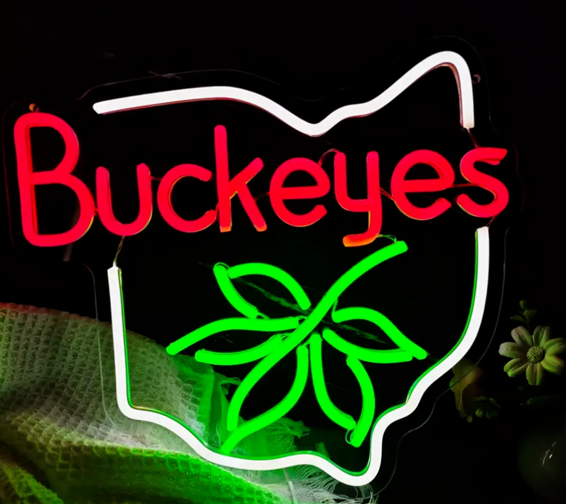 National Champions Buckeyes Neon LED Sign Light Ohio State LED neon ...