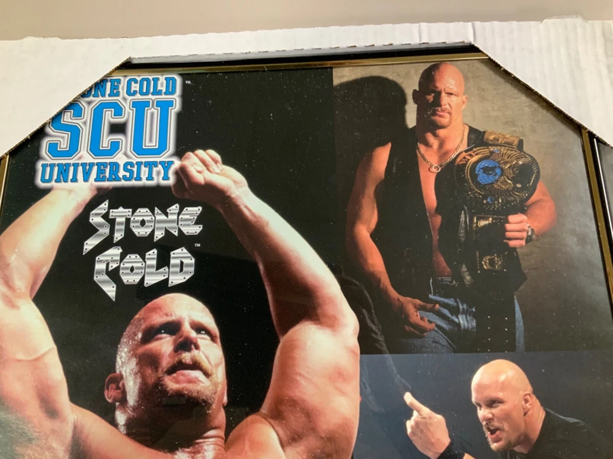 Stone Cold University