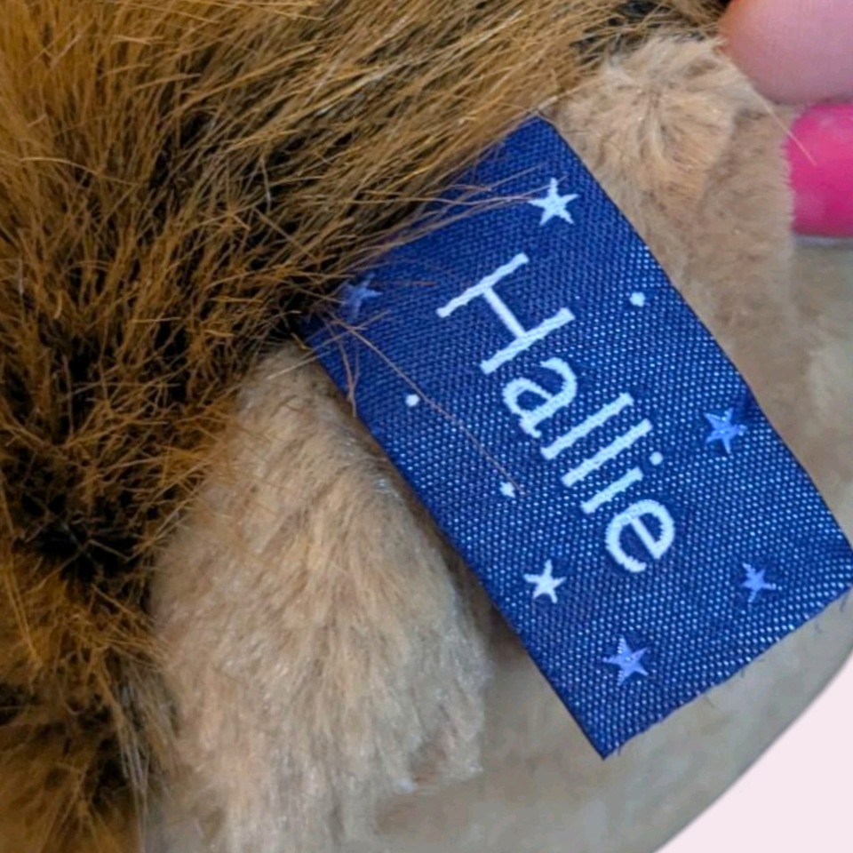 Jellycat X John Lewis Collaboration Hallie Hedgehog Christmas Advert ...