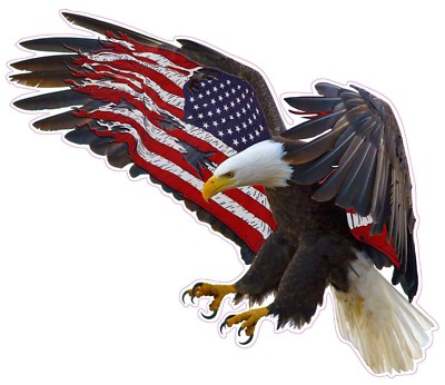 American Eagle American Flag left large Decal Sticker 12" | eBay