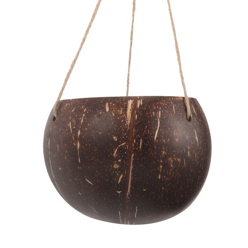 Coconut Shell Hanging Flower Pot Tropical Orchid Indoor Hanger Holder ...