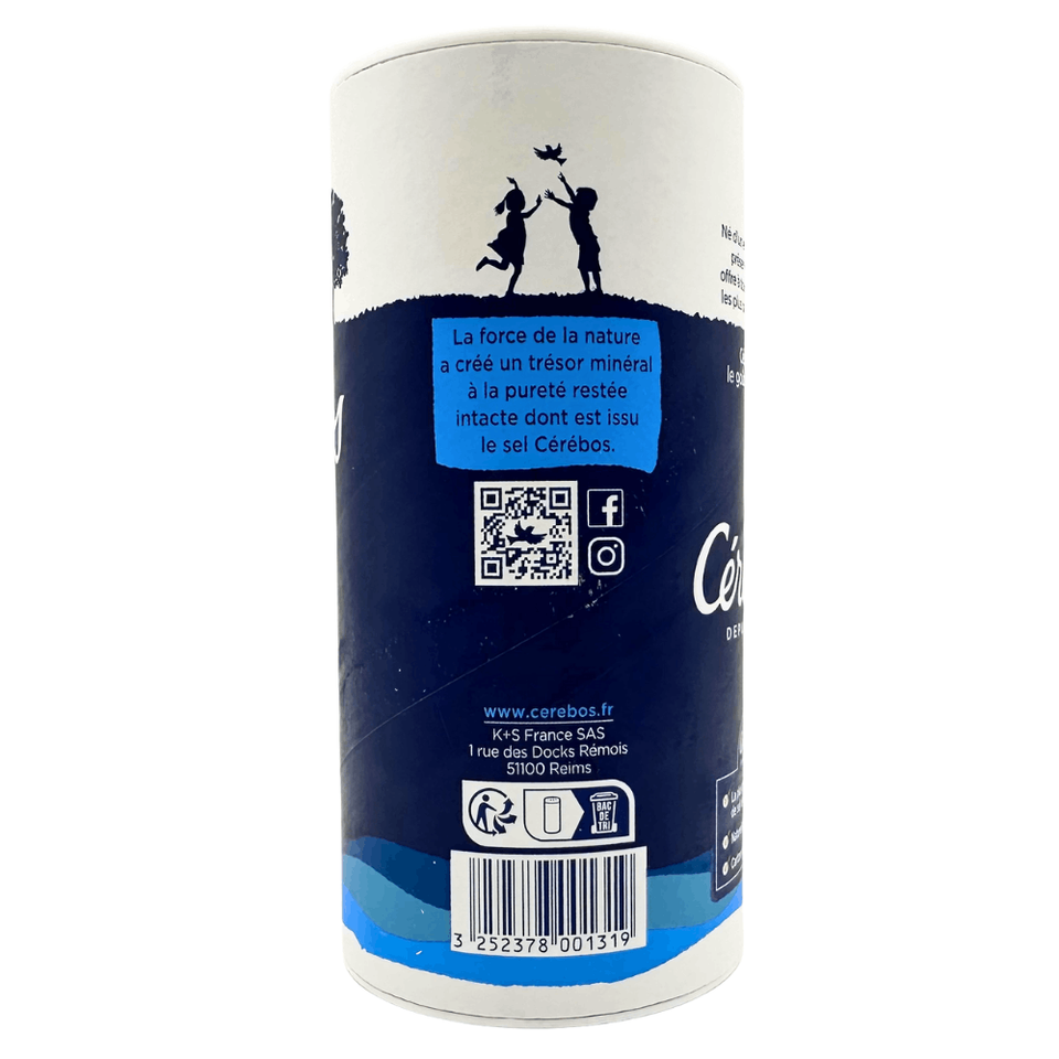 Cerebos Iodised Fine Table Salt 500g | eBay UK