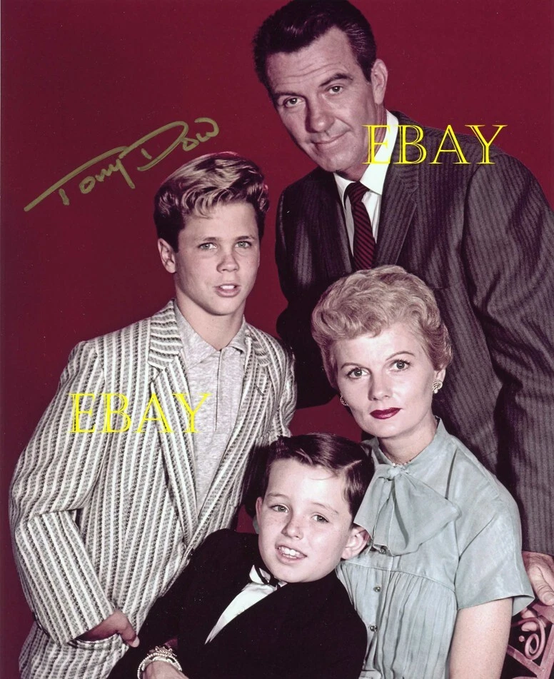 Beaver Cleaver In Color