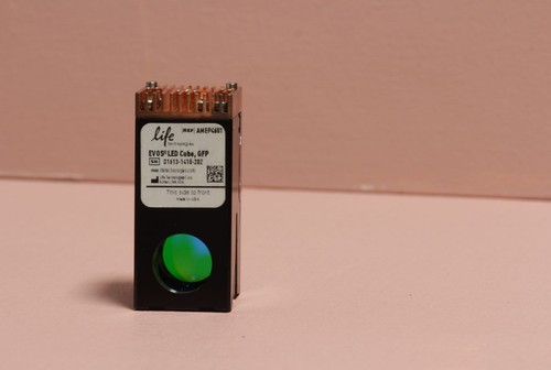 EVOS LIFE INVITROGEN GFP LIGHT CUBE | eBay