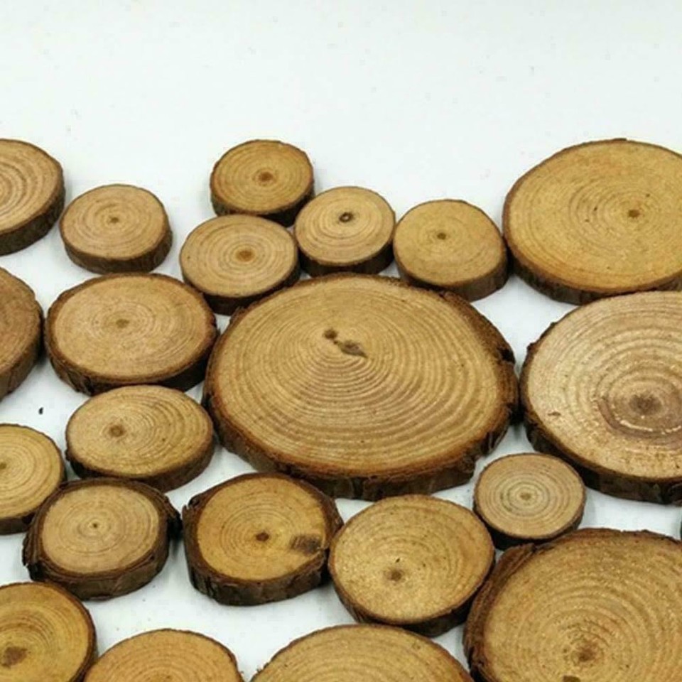 100pcs Natural Pine Wood Slices Round Disc Tree Bark Chips Nice Craft ...