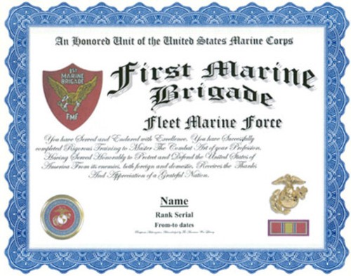 1st US MARINE BRIGADE NAVY ANGLICO HAT PATCH HAWAII RECON WING HAT PIN ...