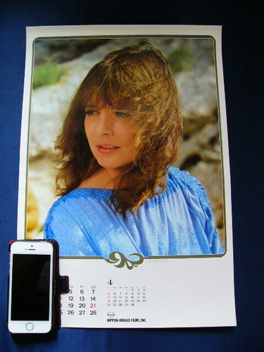 1981 Leonora Fani Japan VINTAGE POSTER CALENDAR VERY RARE | eBay