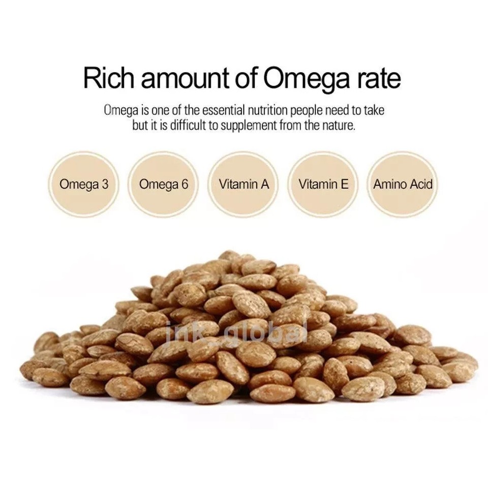 0.44lb Premium Roasted Star Seed Sacha Inchi Nut + Track | eBay UK