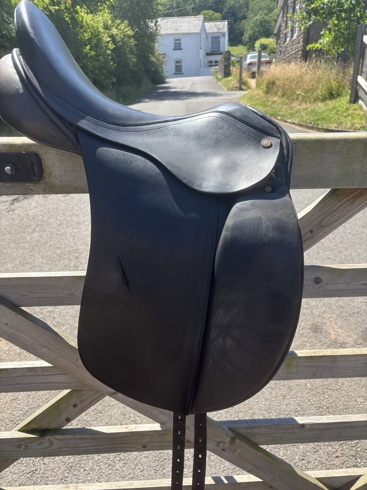 Albion Dressage Saddle Black MW 17.5 Inch | eBay Australia