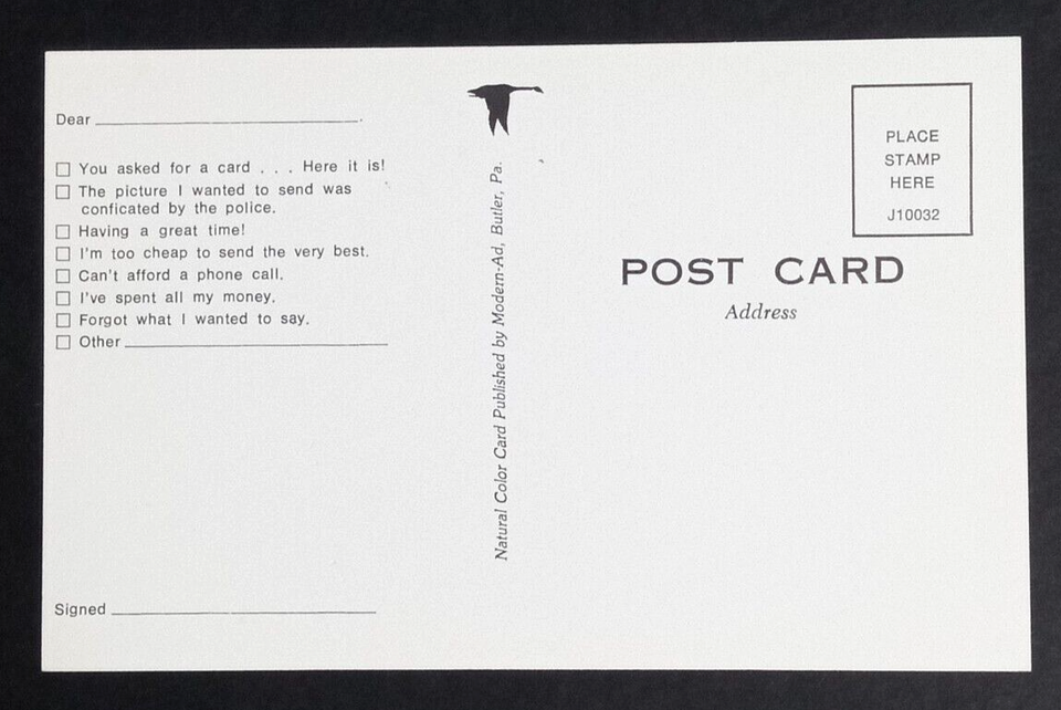 Generic Post Card with Checklist Humor Funny Postcard c1980s UNP | eBay