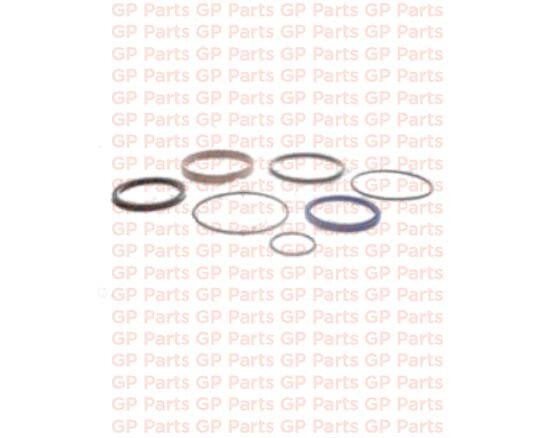 Genie 105549GT, SEAL KIT - LIFT CYLINDER, GS2032,GS2046,GS2646,GS3246 ...