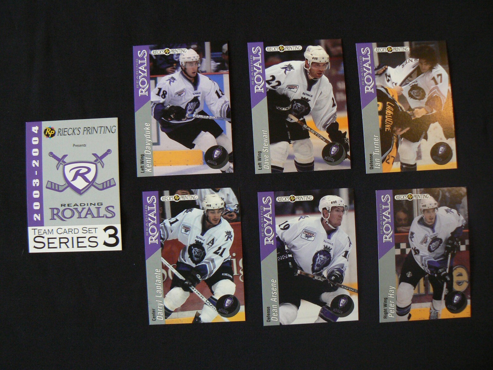 2003-2004 Reading Royals (ECHL) Hockey Series 3 Partial Team Card Set ...