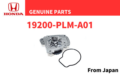 Honda Genuine Civic 01-05 1.7L Water Pump Assembly 19200-PLM-A01 OEM | eBay