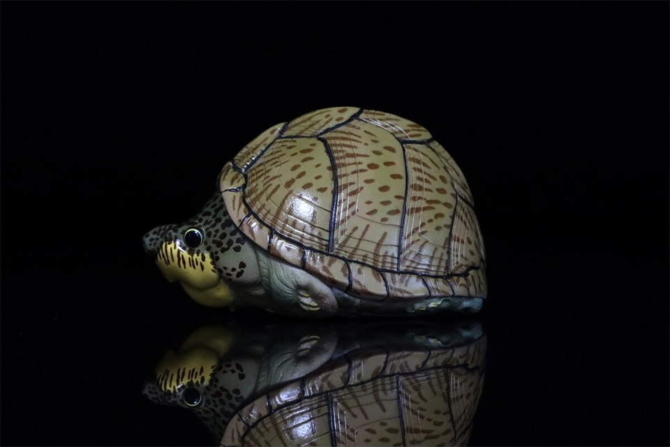 ANIMAL HEAVENLY BODY 08 Blind Box Model Matamata Turtle Stink-pot ...