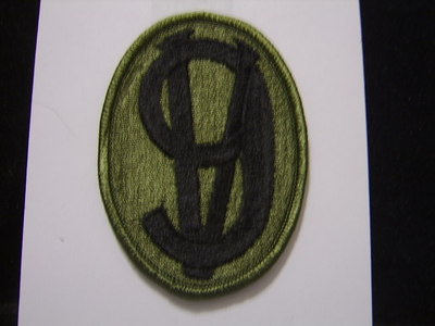 ARMY 95th TRAINING DIVISION PATCH SUBDUED COLOR: | eBay