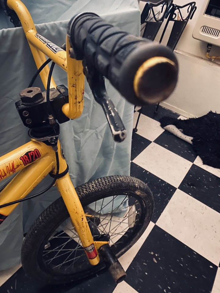 Vtg Hoffman Condor Bmx 2003 prodigy series Bike Yellow 18’Skidmarks ...