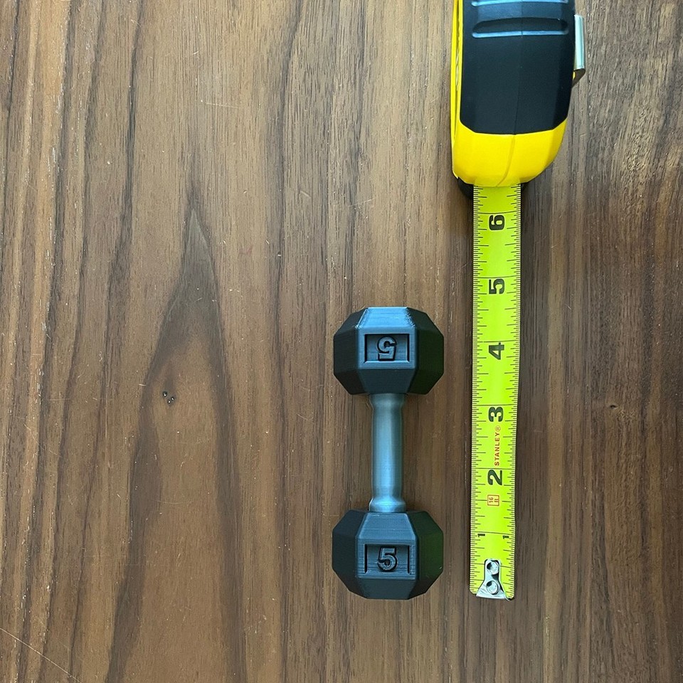 Modern Kids Weight Set Toy Dumbbells, Baby Dumbbell Workout Weights ...