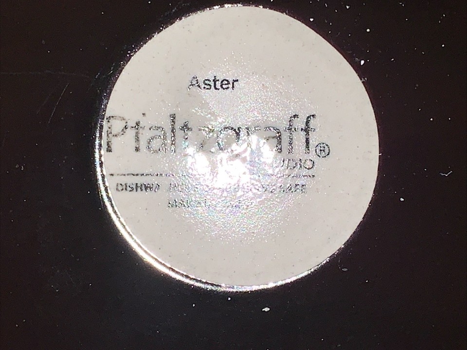 2 Ceramic Plates 11 In Beige Brown Red Pfalzgraff Aster | eBay