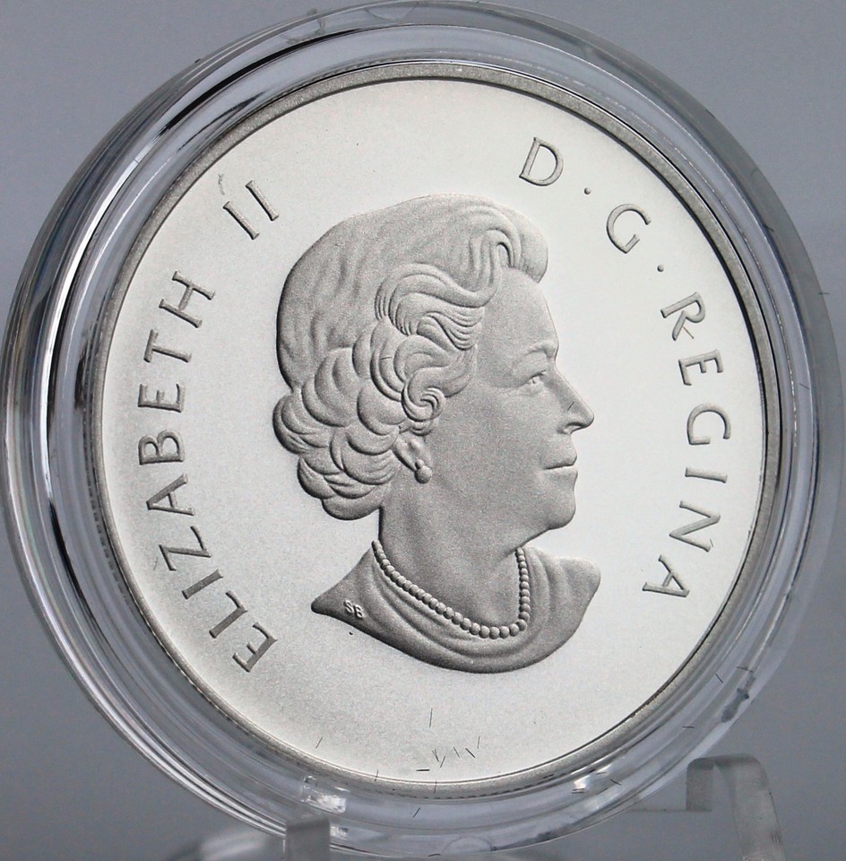 Canada 2013 $10 Niagara Falls Half Oz. Pure Silver Matte Proof Coin, O ...