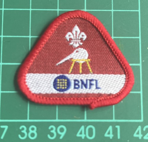 Vintage Scouting Interest Badge Patch BNFL Cubs Guides Sew On Camp ...