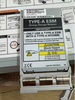 Oracle SUN 7360360 7360361 7051165-03 Type A ESM Energy Storage Module ...