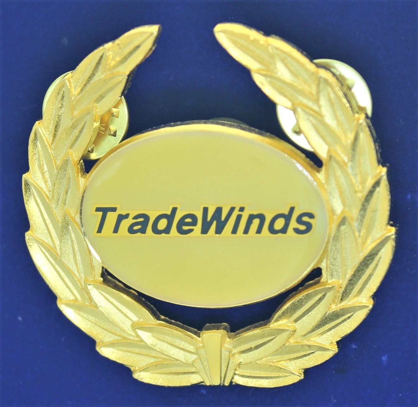 Trade Winds International Airlines Pilot Hat Badge Airline Pilot Wing ...
