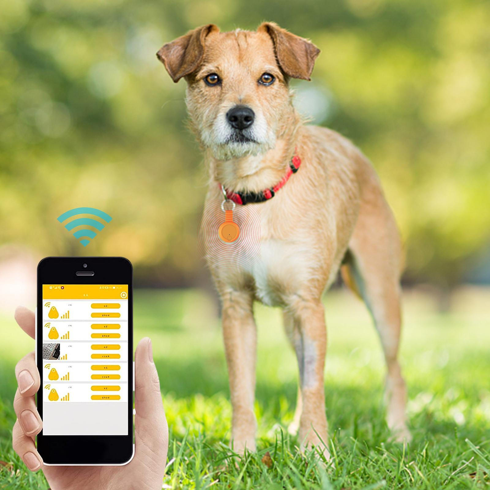 Mini Pet Cat Dog GPS Locator Tracker Water Proof Anti Lost Tracking ...