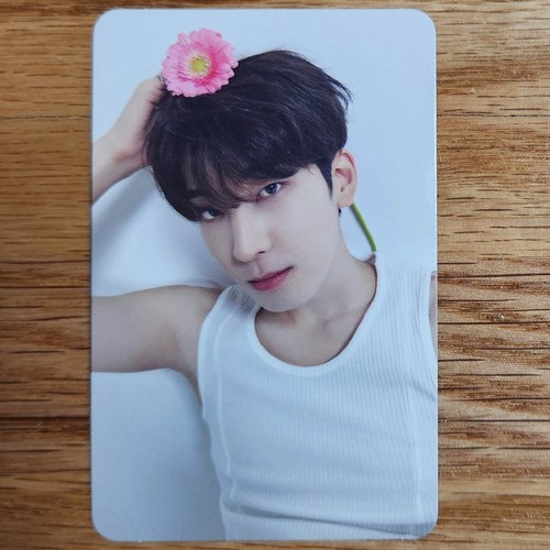 Wonwoo Official Photocard Seventeen The Best 17 Is Right Here Dear ...