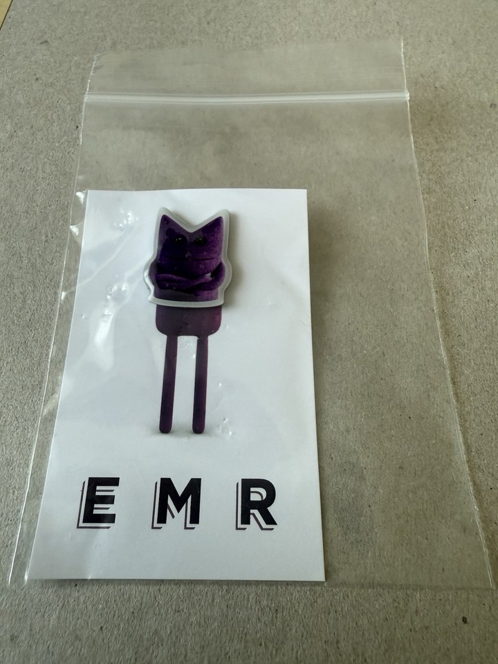 EMR East Midlands Railway Miles badge - Rare! Staff Issue #85ForPat ...