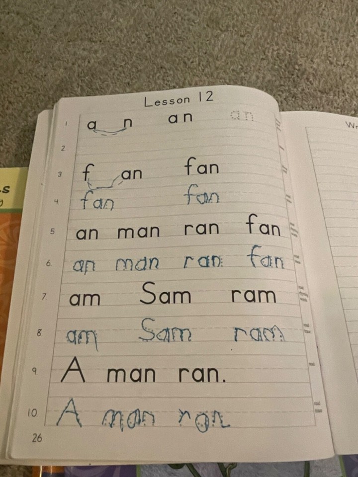 Classical Phonics and First Start Reading Homeschool Book A B C D ...