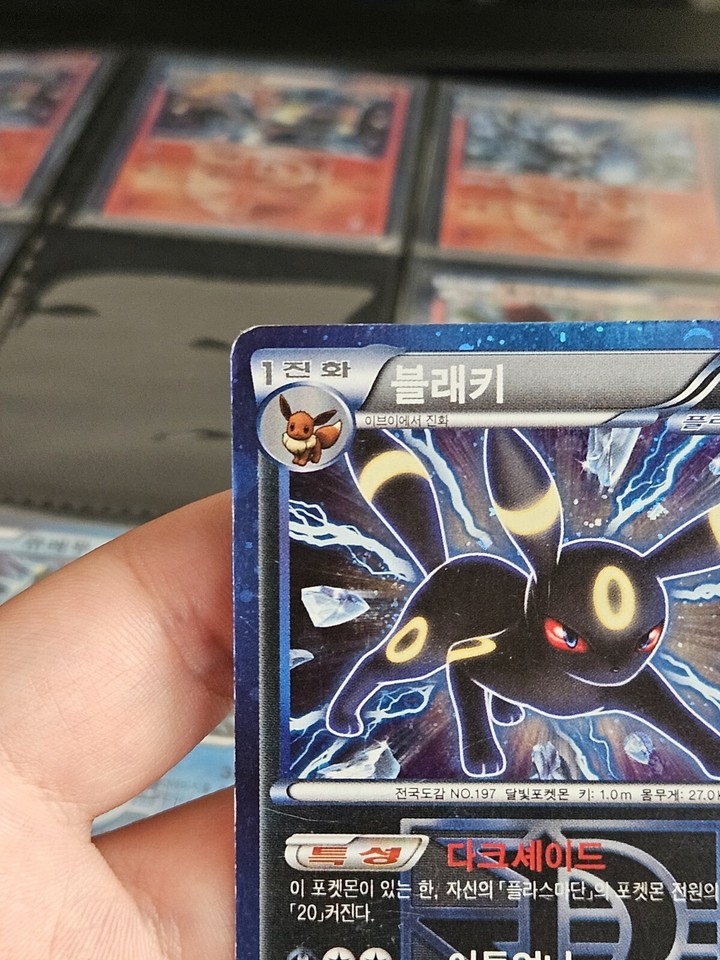 Pokemon Card Umbreon Korean 031/051 BW8 Plasma Freeze Holo Moonbreon No ...