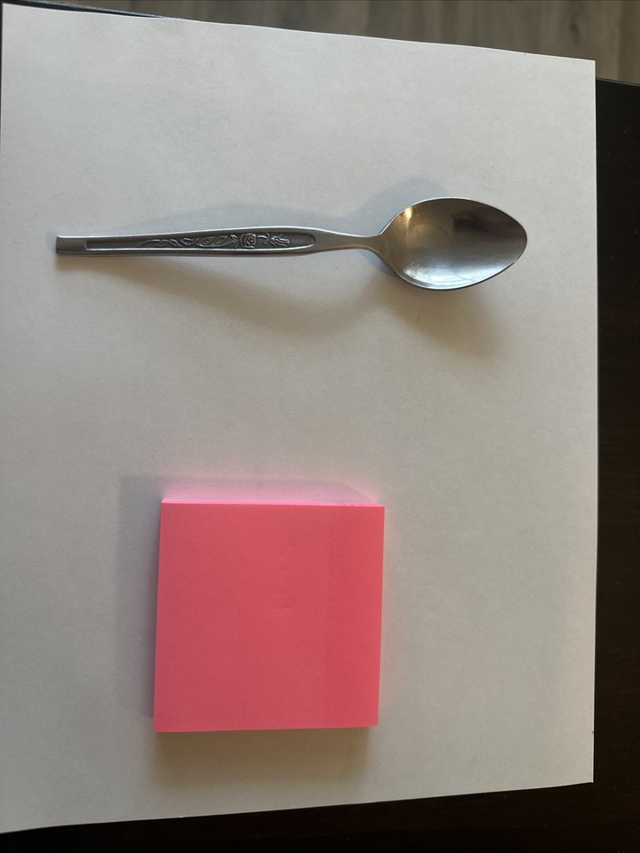 1 CRESTMONT Hanford Stainless Dinner Spoon Rose Vintage | eBay