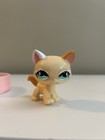 LPS #626 LITTLEST PETSHOP ORIGINAL CHAT CAT AUTHENTIQUE MAINE COON ...