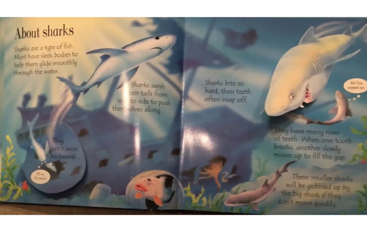 Sharks by Phil Clarke (2005, Hardcover / Lift the Flap Book) for sale ...