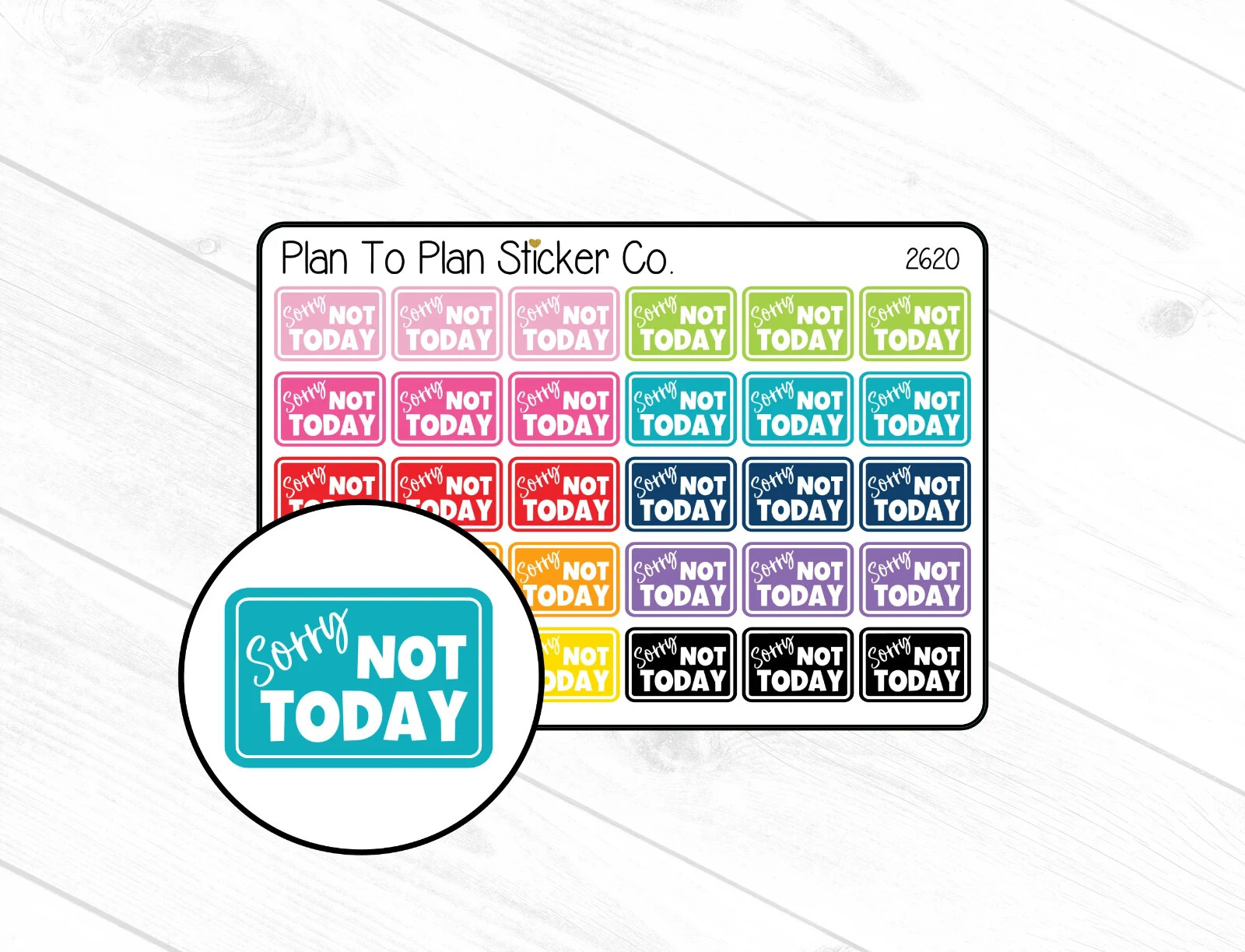 2620~~Sorry Not Today Planner Stickers | eBay