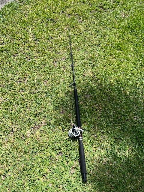 Deep fishing rods. Daiwa with Penn Senator 3 reel | eBay