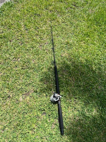 Deep fishing rods. Daiwa with Penn Senator 3 reel | eBay