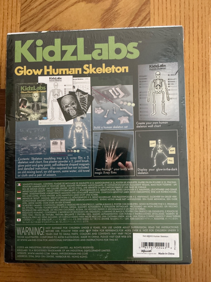 GLOW HUMAN SKELETON KIDZLABS BUILD A FULL HUMAN SKELETON SET NIB | eBay