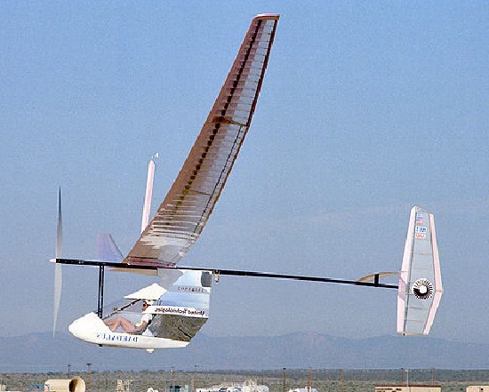 MIT Daedalus USA Human Powered Aircraft Desktop Wood Model Large | eBay