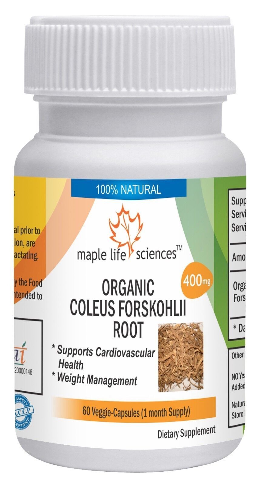 ORGANIC Coleus Forskohlii Root Capsules Weight Loss Pure and High ...