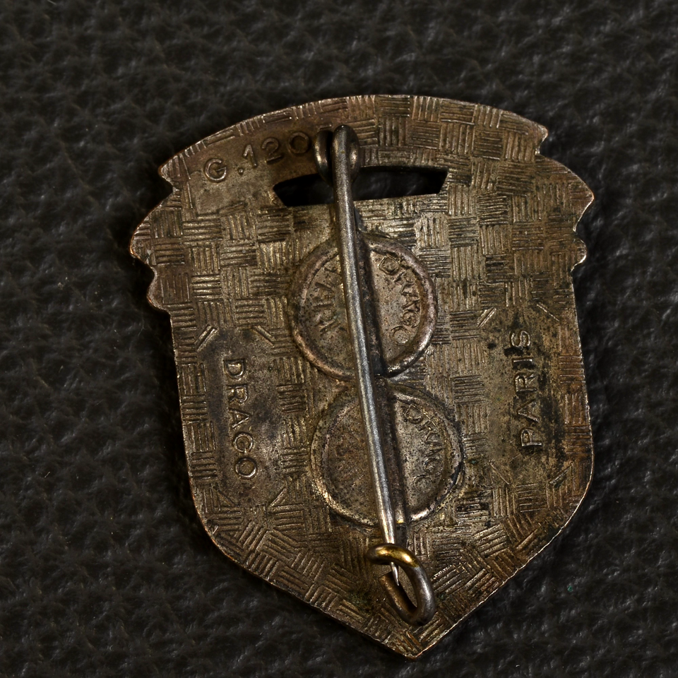 Insignia CdS 9 TARASCON National Selection Service Center Drago #D76.1 ...