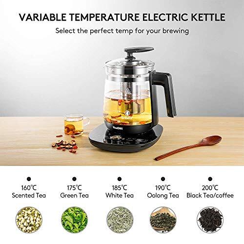 ICOOKPOT Electric Kettle Temperature Control Glass Tea Kettle ...