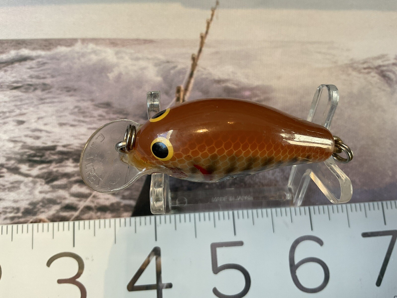 C.J. Lures (Calvin Johnson) - Calvin Johnson Modified Crankbait | eBay