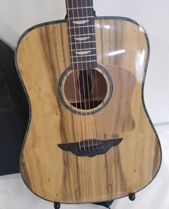 Urban Limited Edition Black Label Platinum Acoustic Electric Guitar w ...