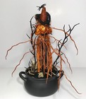 SCARY WITCH POT OF BONES HALLOWEEN CENTERPIECE SPOOKY DECORATION ...