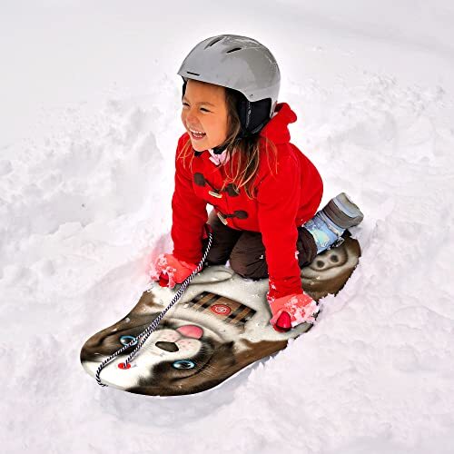 36in Foam Winter Kiddy Snow Sled 2-Pack, Multi Character, (AZ21-SBSL360 ...