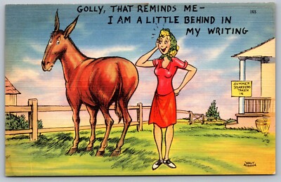 Humor Postcard Golly That Reminds Me Behind In My Writing Donkey 1930s ...
