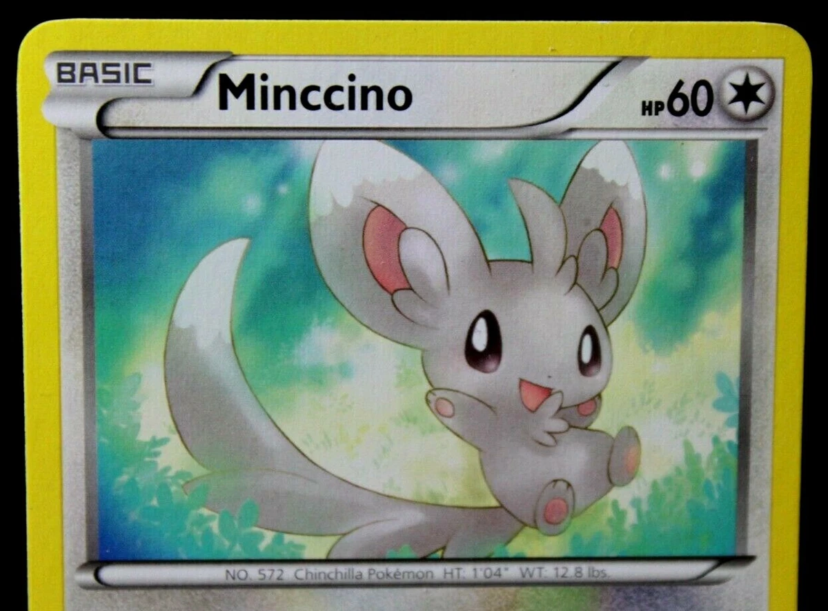 Minccino Pokemon