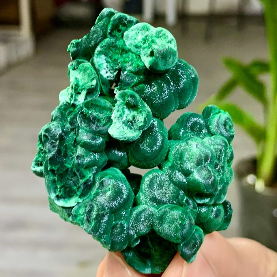 67G Natural glossy Malachite transparent cluster rough mineral sample ...