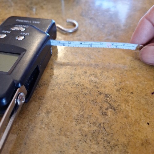 South Bend 110 lb Digital Fish Scale w/Tape Measure, Non-Slip Grip ...